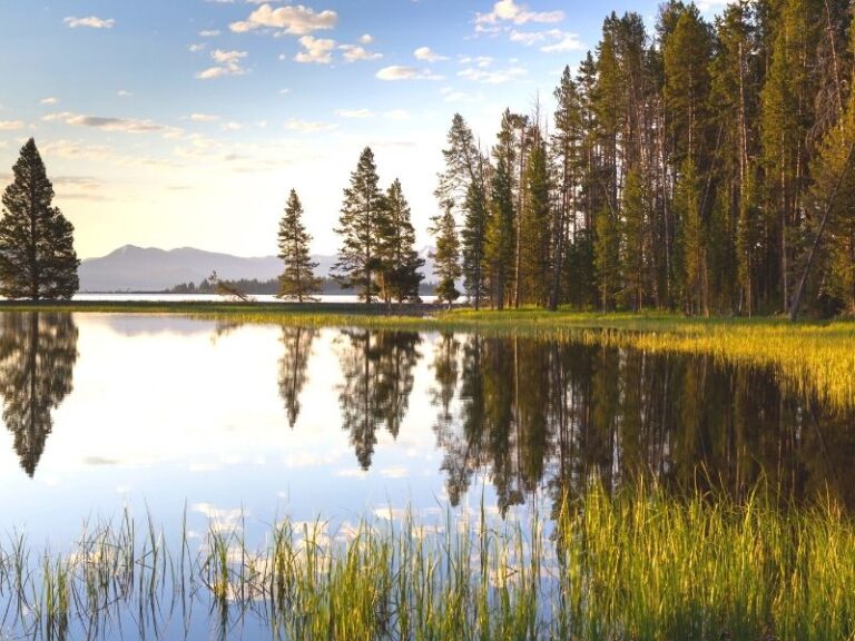 Best Kayaking Spots in Wyoming: from Yellowstone to Cheyenne
